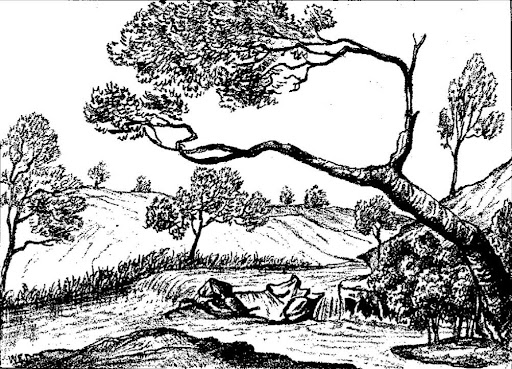 The Mobility of the Aboriginal Tribe – Truth Telling